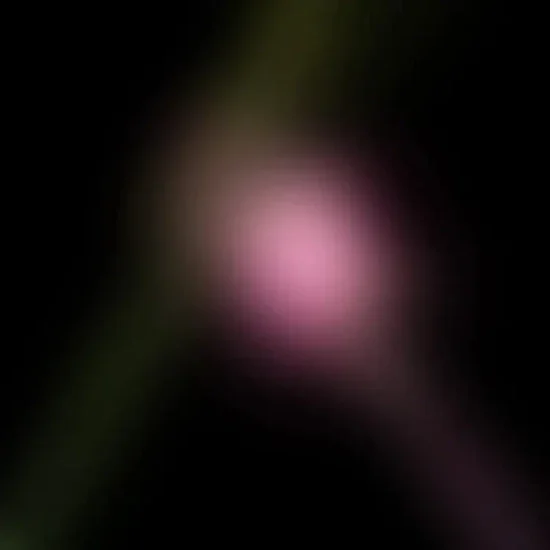 Wicked: For Good - 2025 US Republic Records label Picture Disc 11-track ...