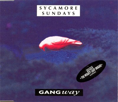 Sycamore Sundays - All Products - Sound Station